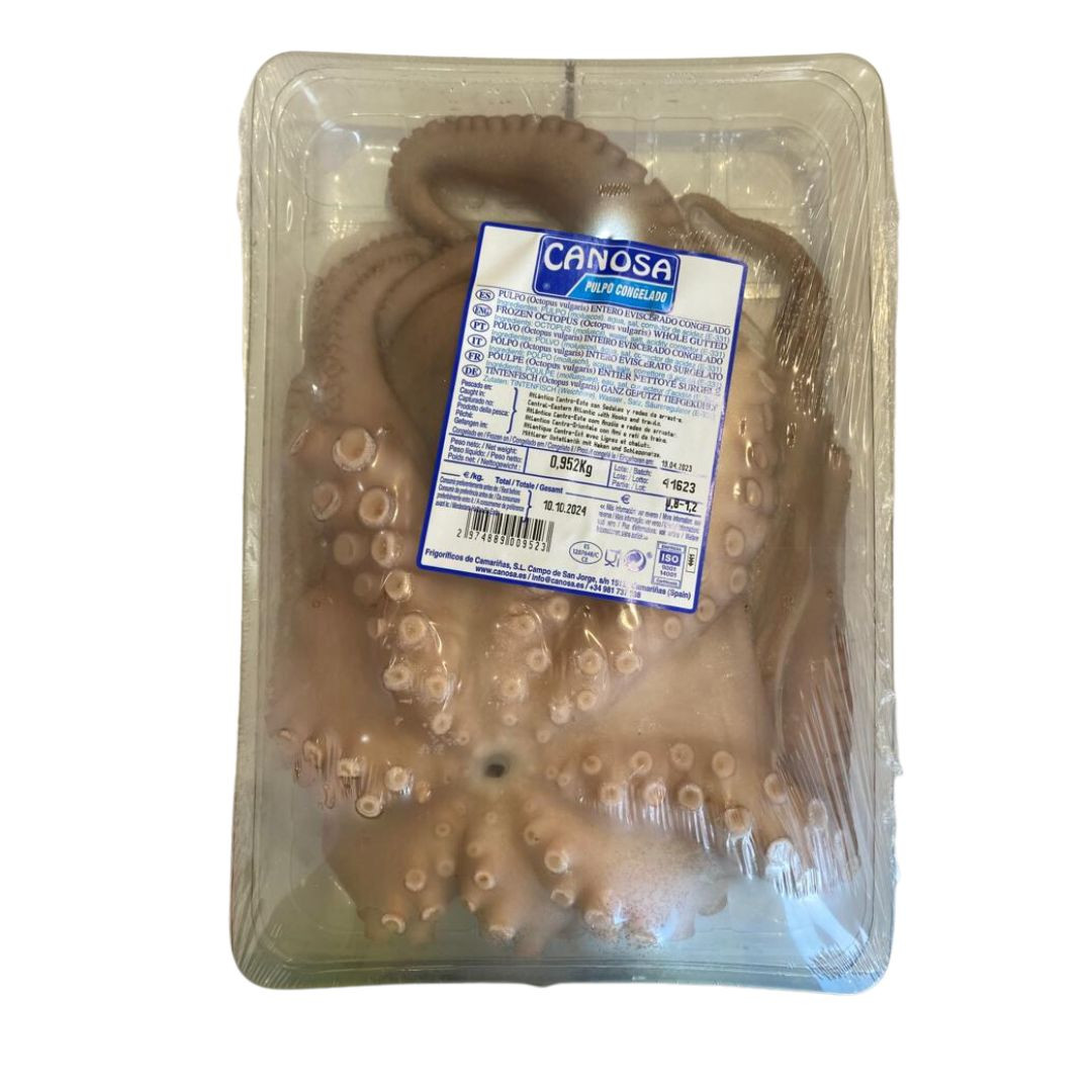 Canosa Frozen Octopus 0.8-1.2 Size +/- 1kg